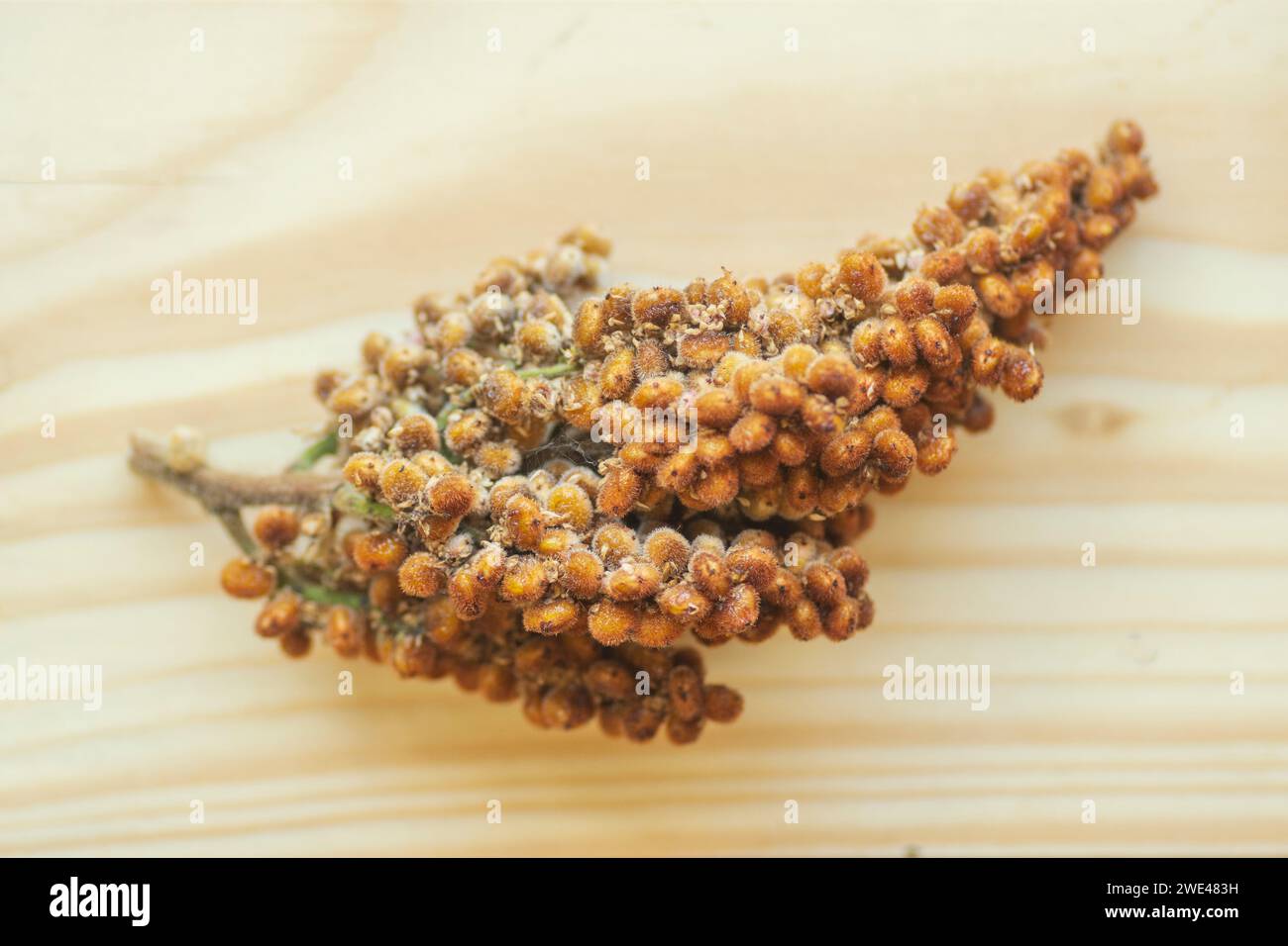 Sumac spice hi-res stock photography and images - Alamy