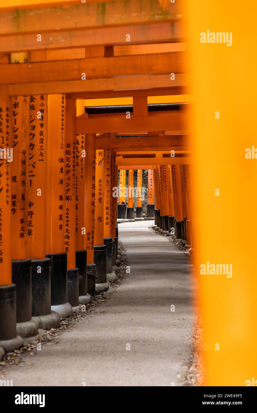 Fushimi Inari Shrine and the 1000 Gates, Kyoto, Japan Stock Photo - Alamy