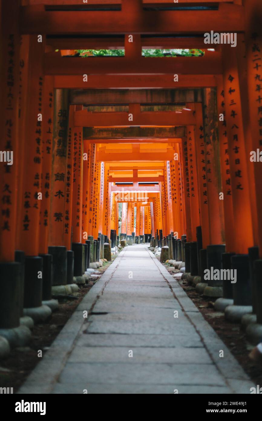 Fushimi Inari Shrine and the 1000 Gates, Kyoto, Japan Stock Photo - Alamy