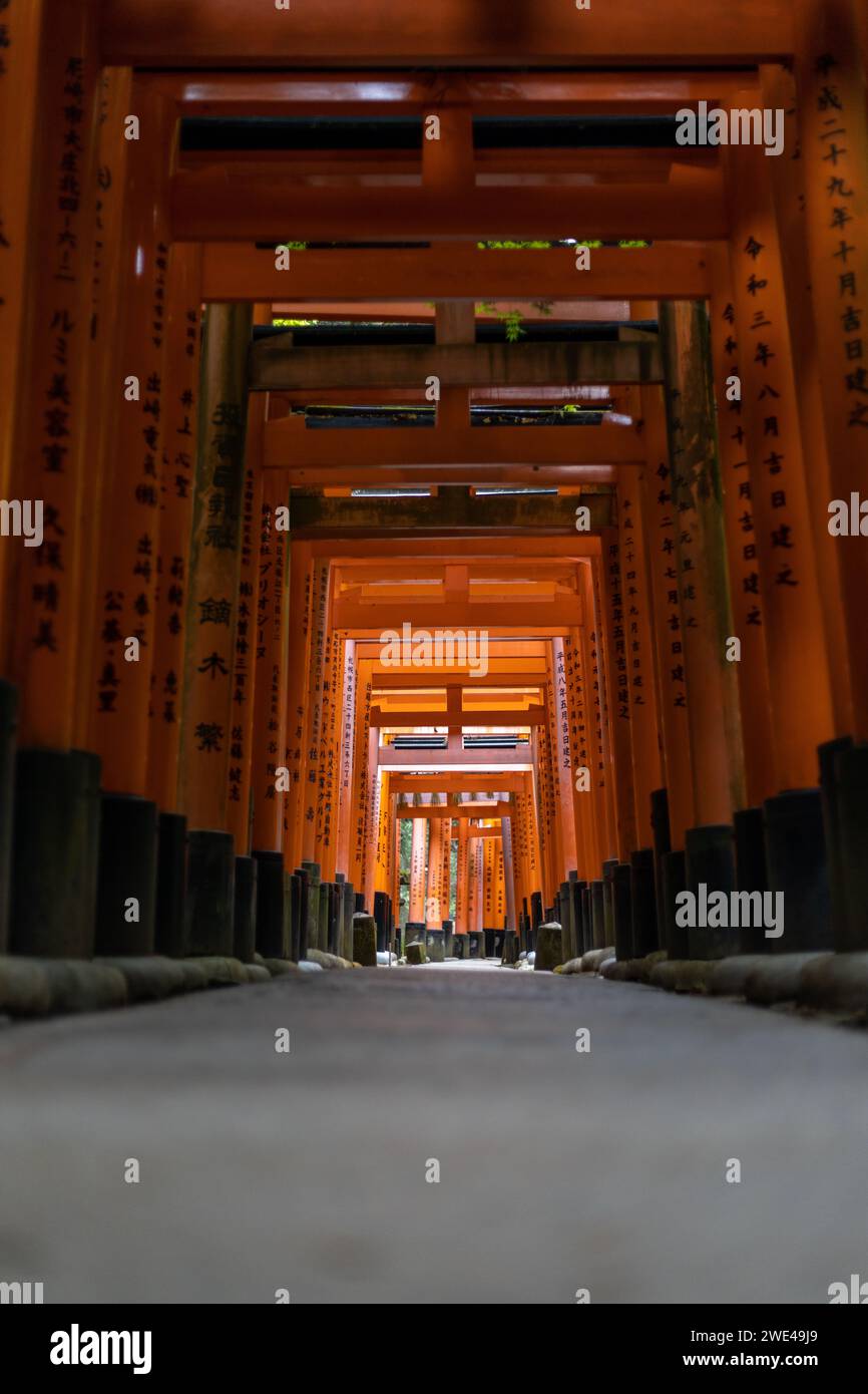 Fushimi Inari Shrine and the 1000 Gates, Kyoto, Japan Stock Photo - Alamy