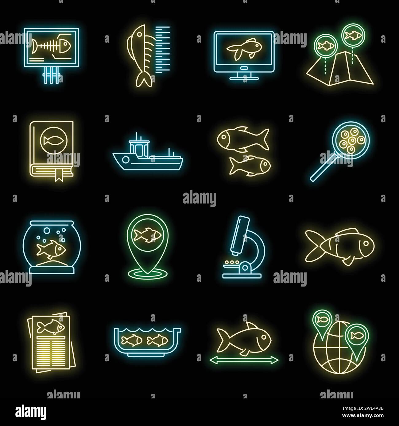 Ichthyology fish icons set. Outline set of ichthyology fish vector ...
