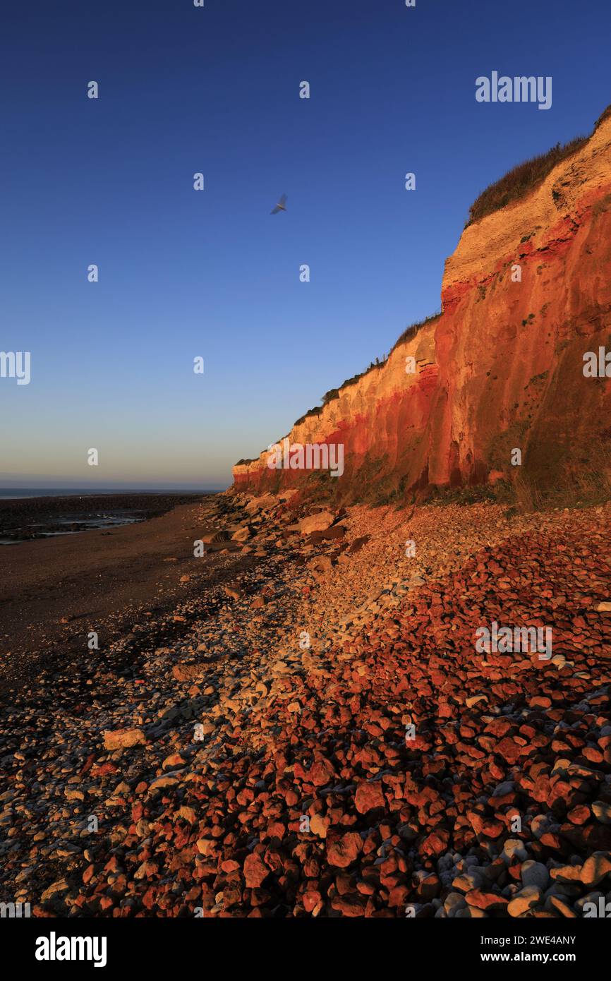 The Brownstone and Chalk Cliffs; Hunstanton town; North Norfolk Coast ...