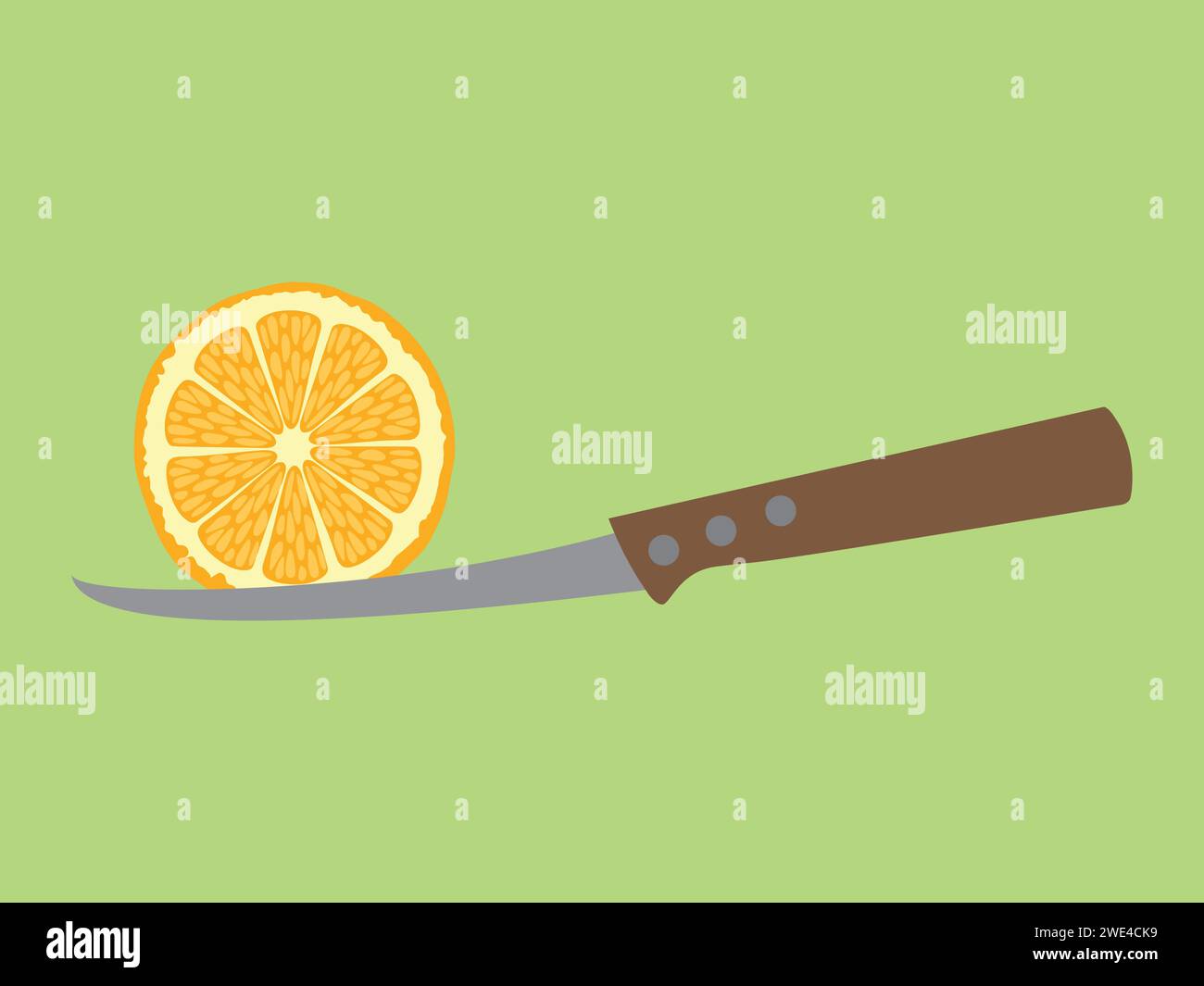 Orange slice on fresh Stock Vector Images - Alamy