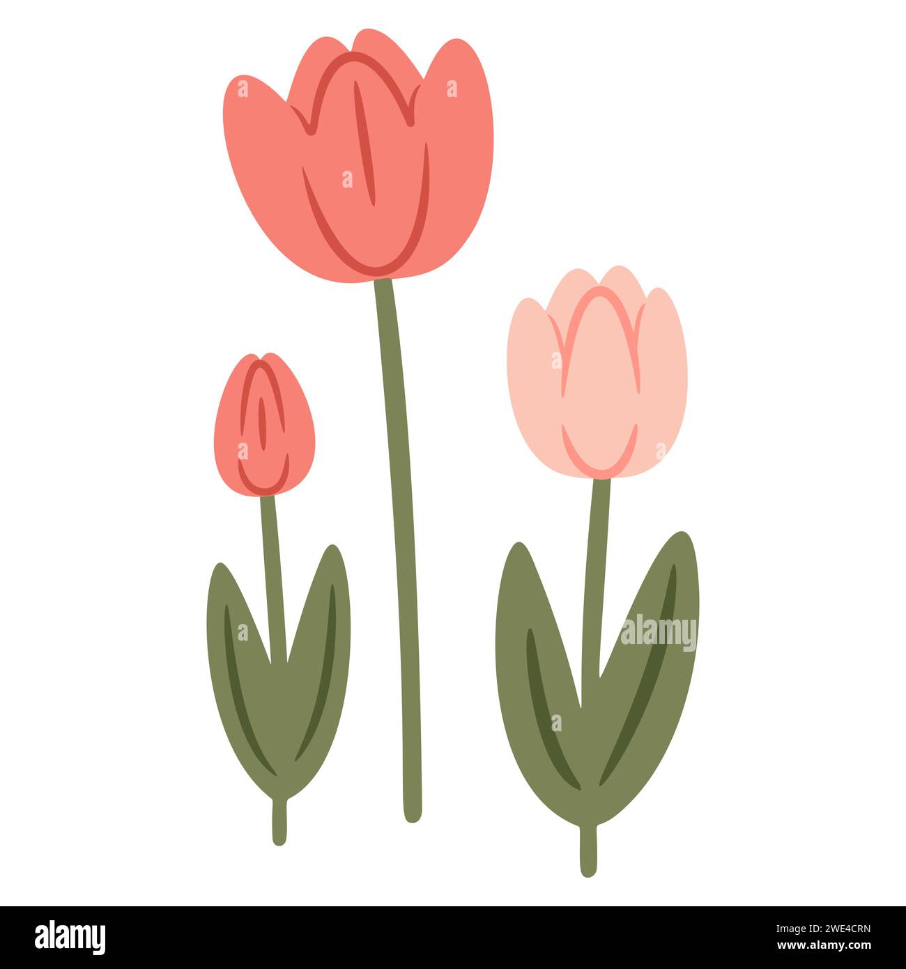Illustration of a cartoon cute pink tulip Stock Vector Image & Art - Alamy