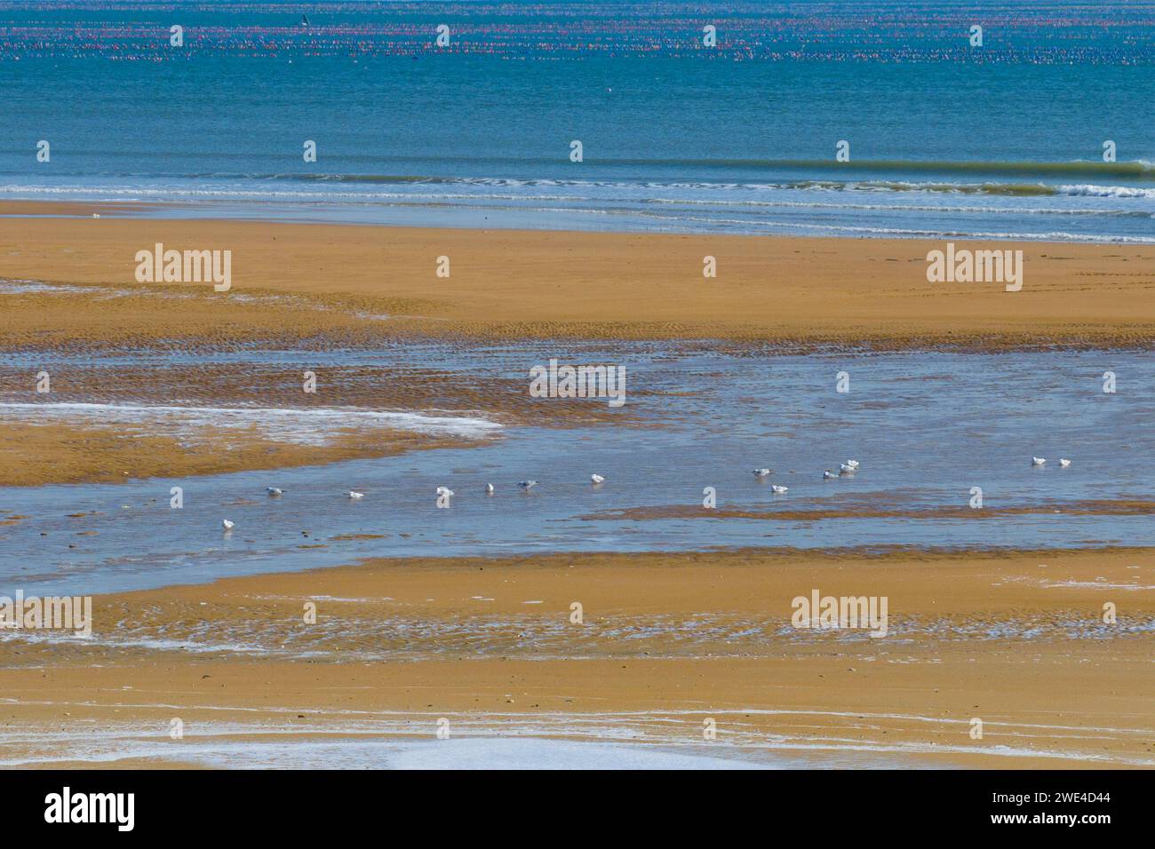 QINGDAO, CHINA - JANUARY 23, 2024 - Ice and snow intertwine with the ...