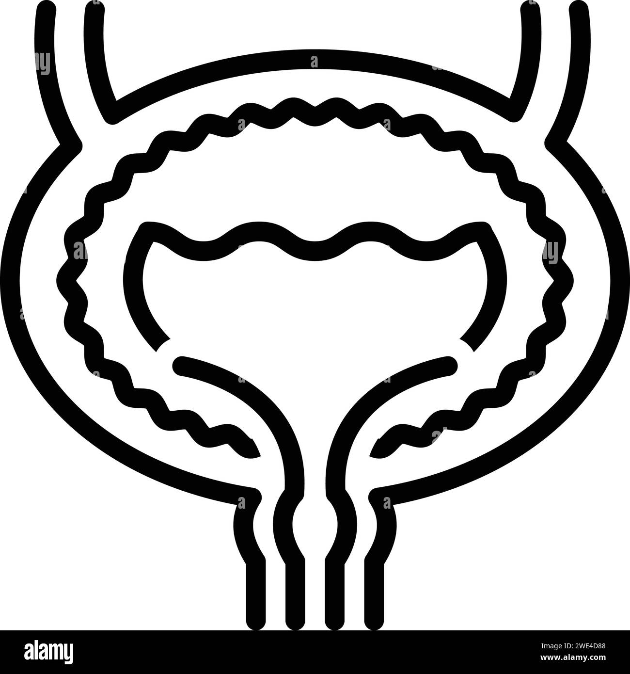 Icon for bladder,disease Stock Vector Image & Art - Alamy