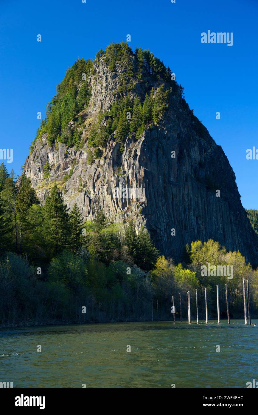Beacon Rock, Beacon Rock State Park, Columbia River Gorge National ...