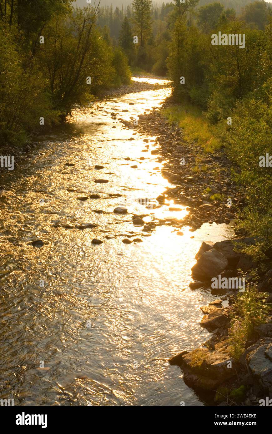 Sullivan Creek, Colville National Forest, Washington Stock Photo - Alamy