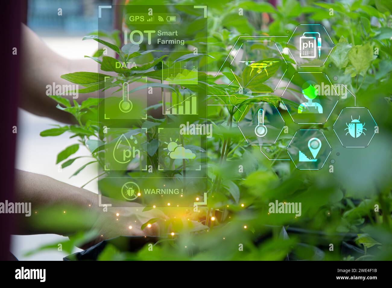 The concept of using AI and smart farming Stock Photo - Alamy