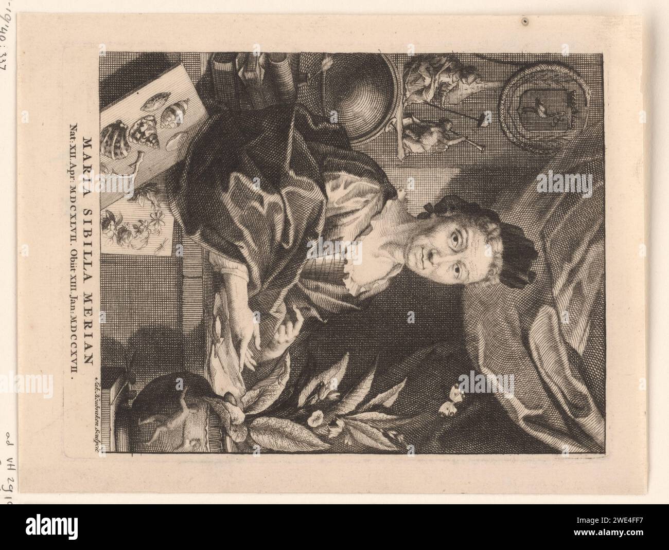 Portrait of Maria Sibylla Merian, Jacob Houbraken, in or after 1717 ...