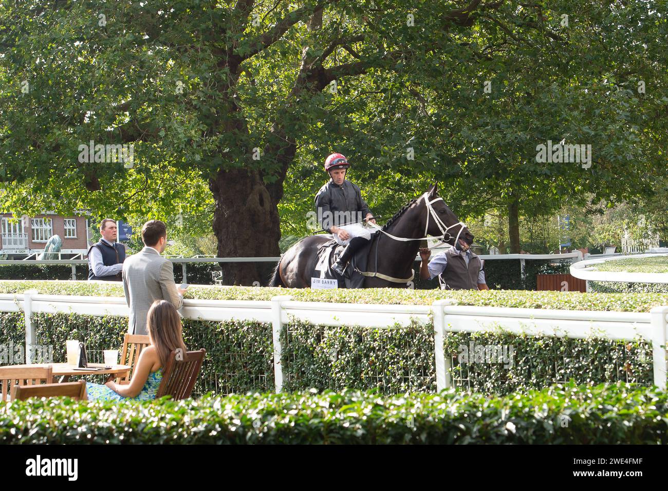 Claymore horse hi-res stock photography and images - Alamy