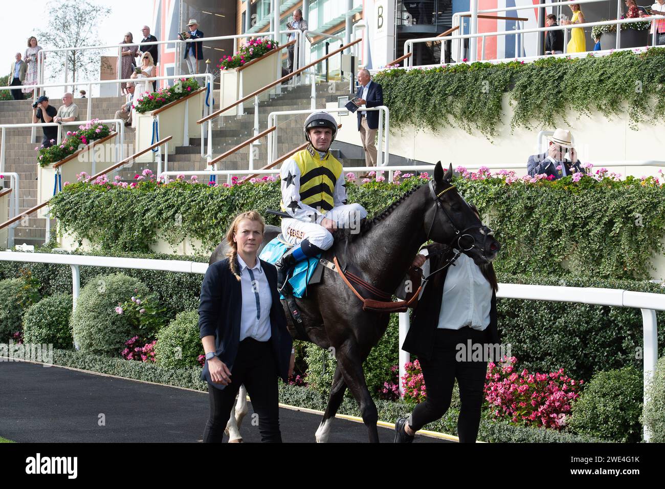The john guest bengough stakes hi-res stock photography and images - Alamy