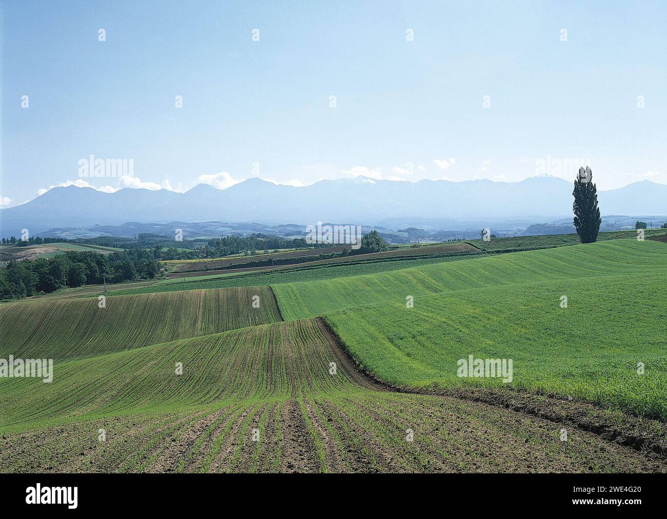 Nature's Symphony: Captivating Landscapes in Harmony Stock Photo - Alamy