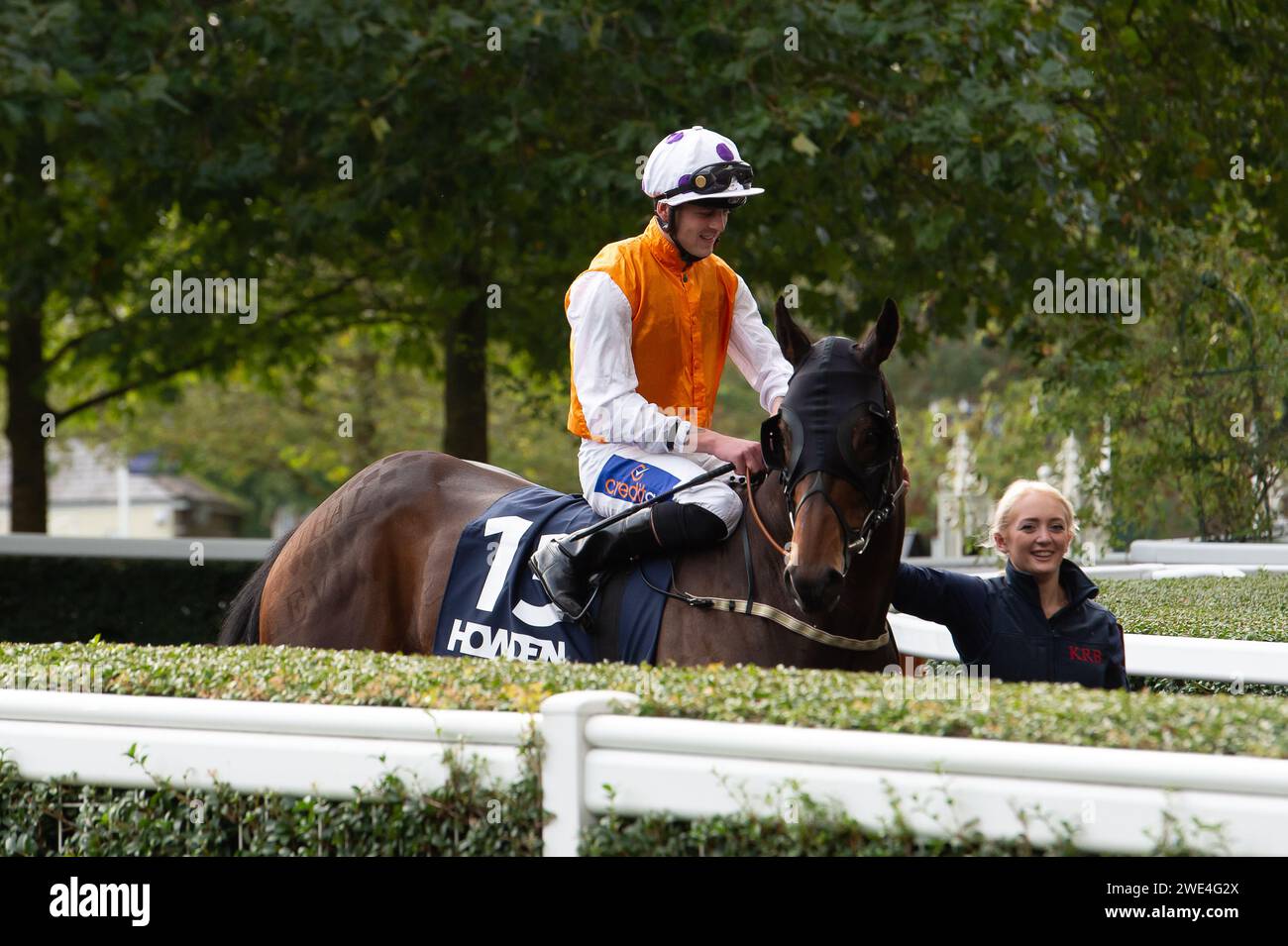 Lethal levi horse hi-res stock photography and images - Alamy