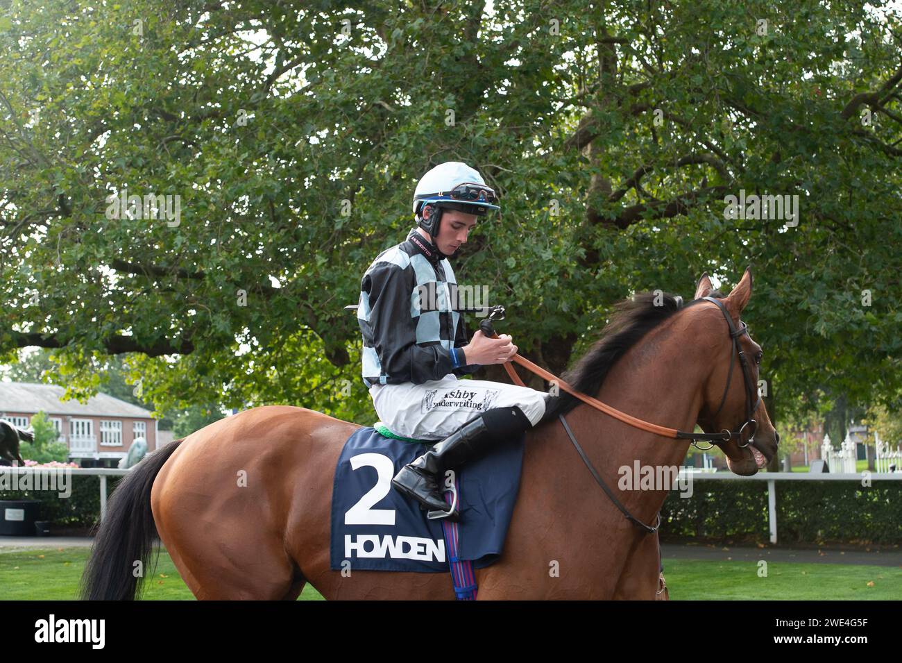 Ascot, Berkshire, UK. 7th October, 2023. Horse Biggles ridden by jockey ...