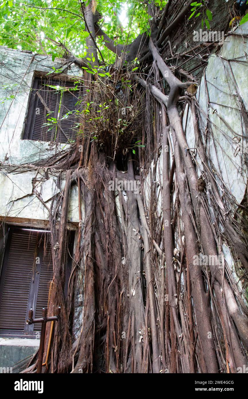 Fatahillah Square in Kota Tua, the old town of Jakarta and center of ...