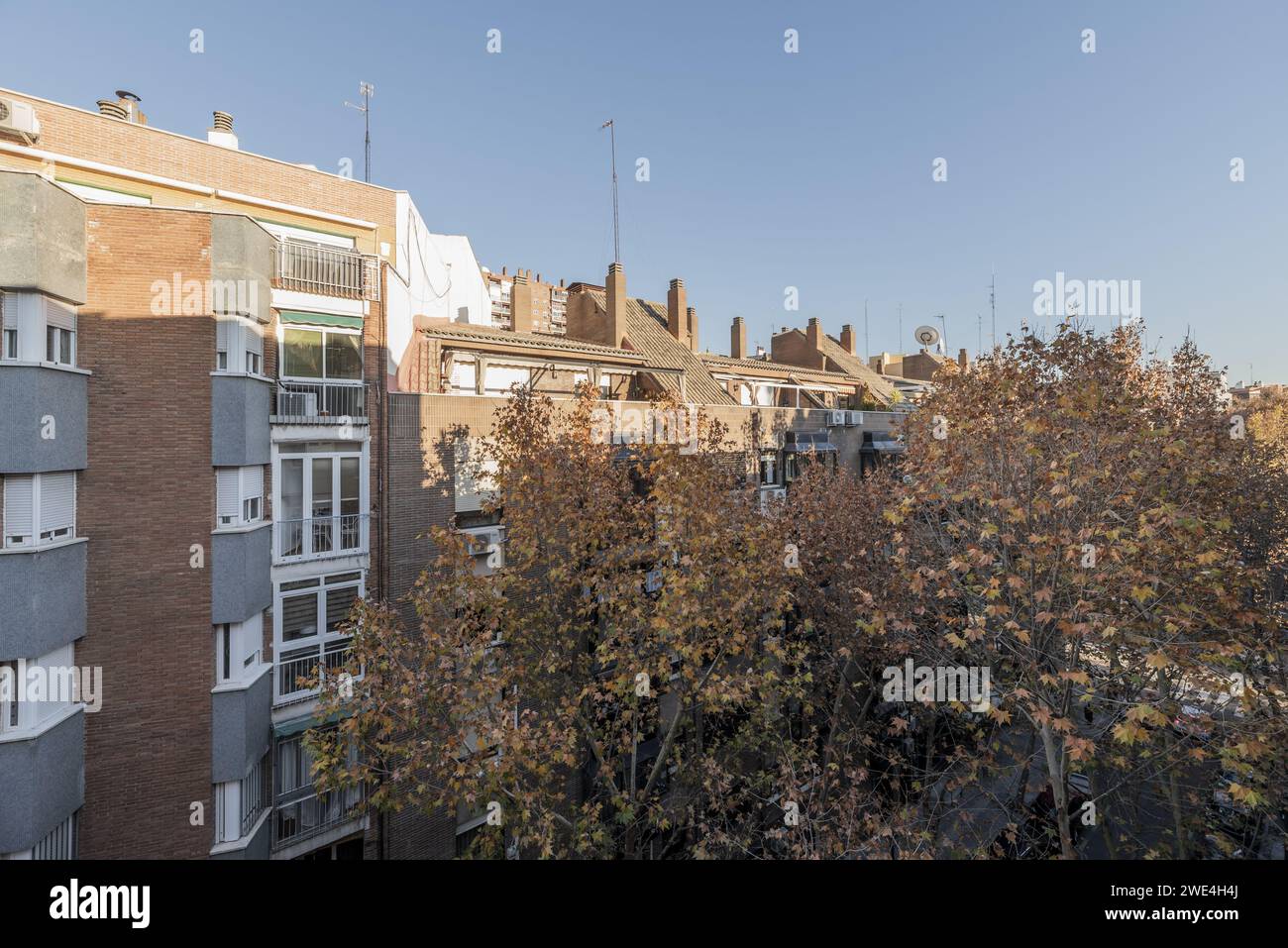 Facades of urban residential buildings on a tree-lined street Stock ...