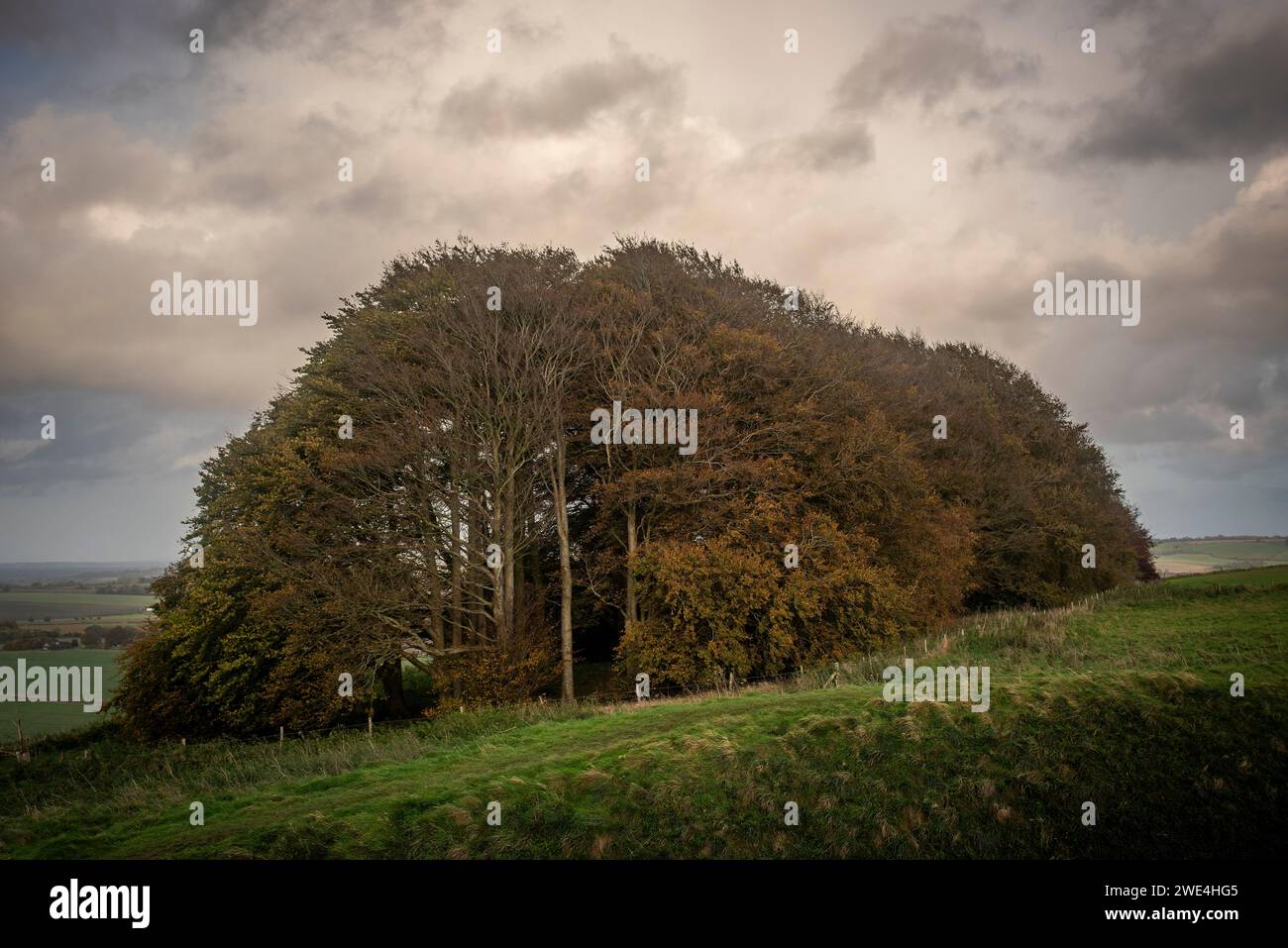 Barbury Castle Iron Age hill fort near Wroughton, Wiltshire, UK Stock ...