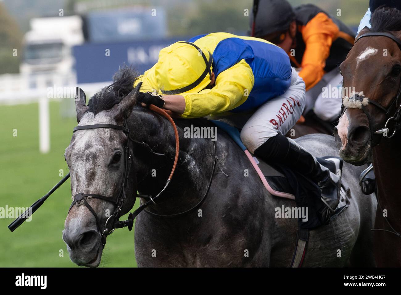 Popmaster racecourse hi-res stock photography and images - Alamy