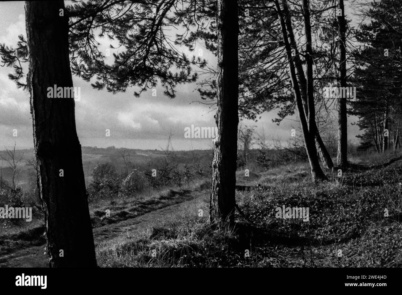 A family trip to WWI battlefields, Craonne, Chemin des Dames, Aisne ...