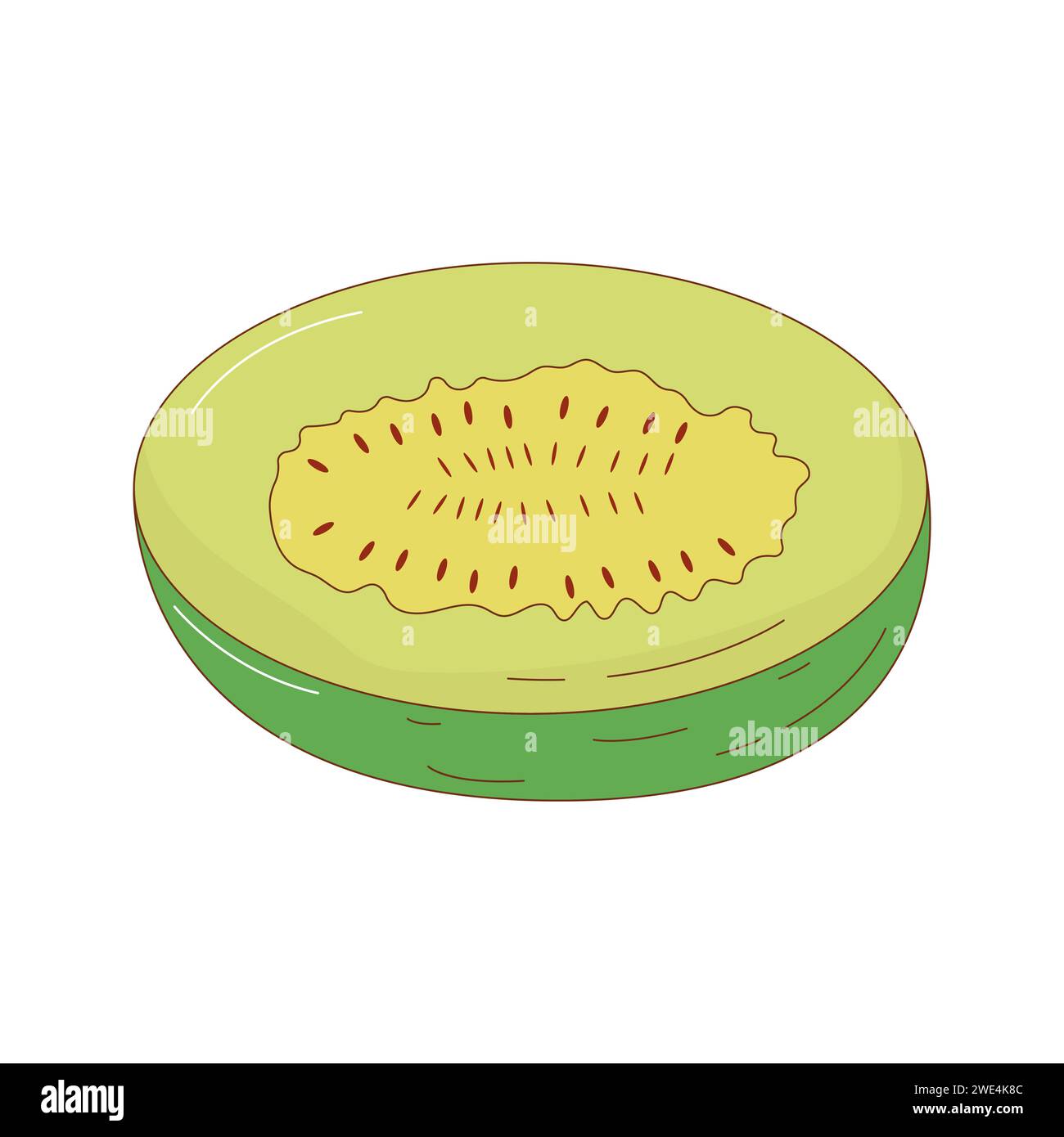 Hand drawn melon fruit vector illustration. Creative hand drawn fruit ...