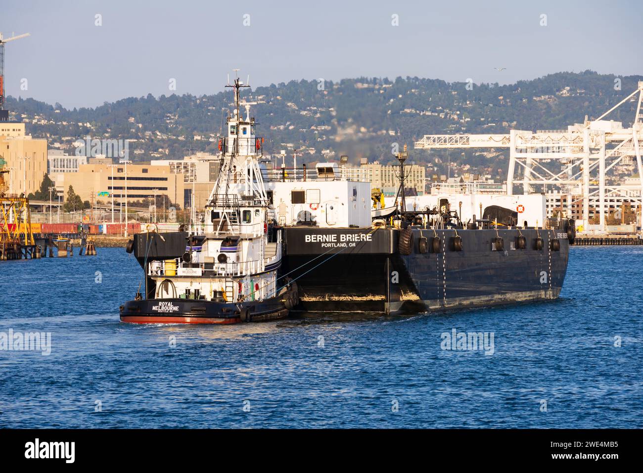 Bernie briere hi-res stock photography and images - Alamy