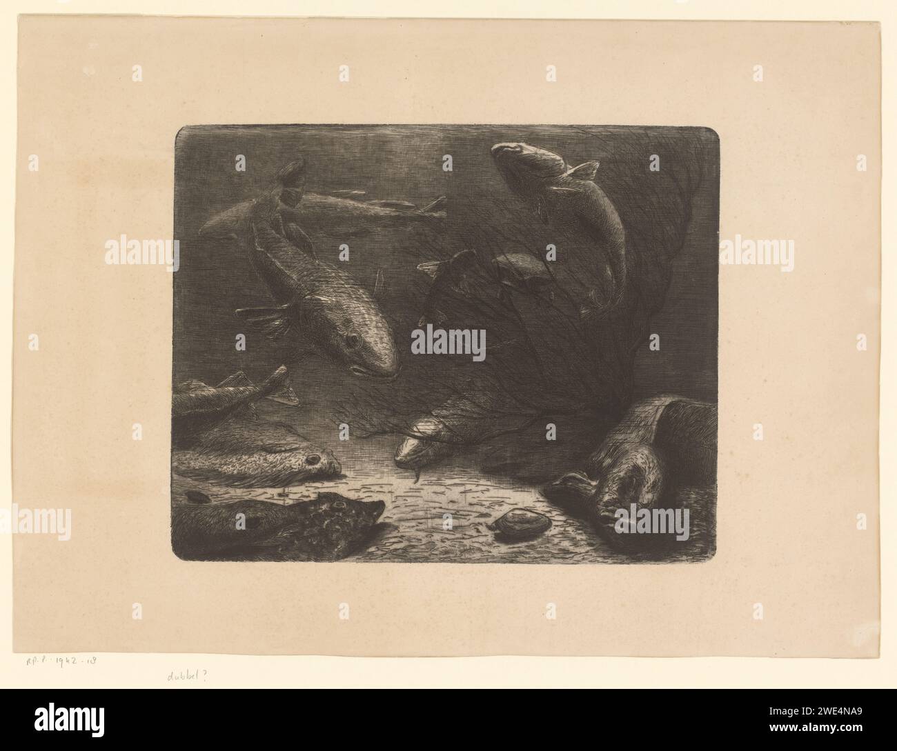 Snoek, rog, flatfish, crab, eel and other fish, anonymous, c. 1850 - c ...