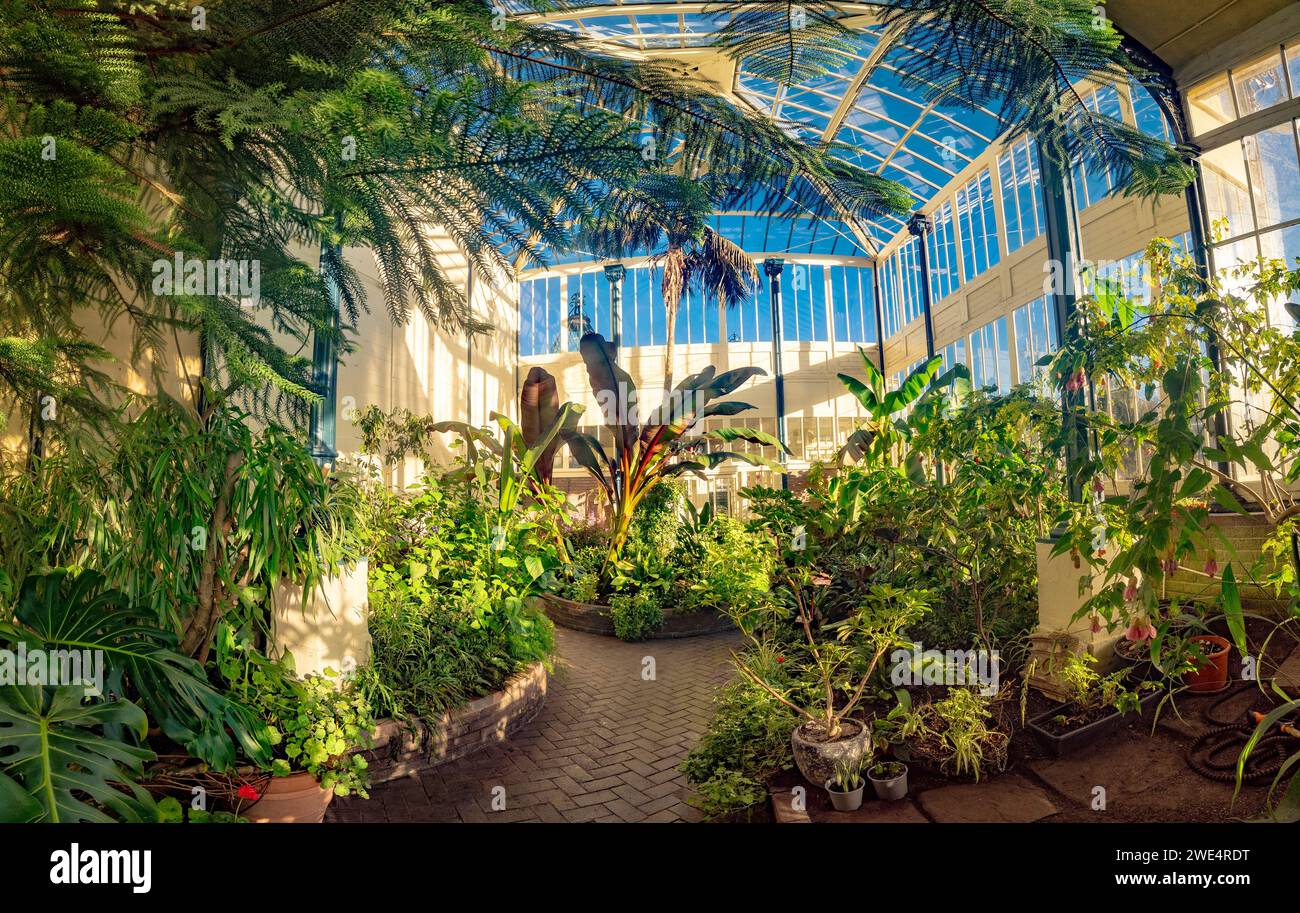 Inside The Conservatory at the Pavilion Gardens in Buxton. Derbyshire ...