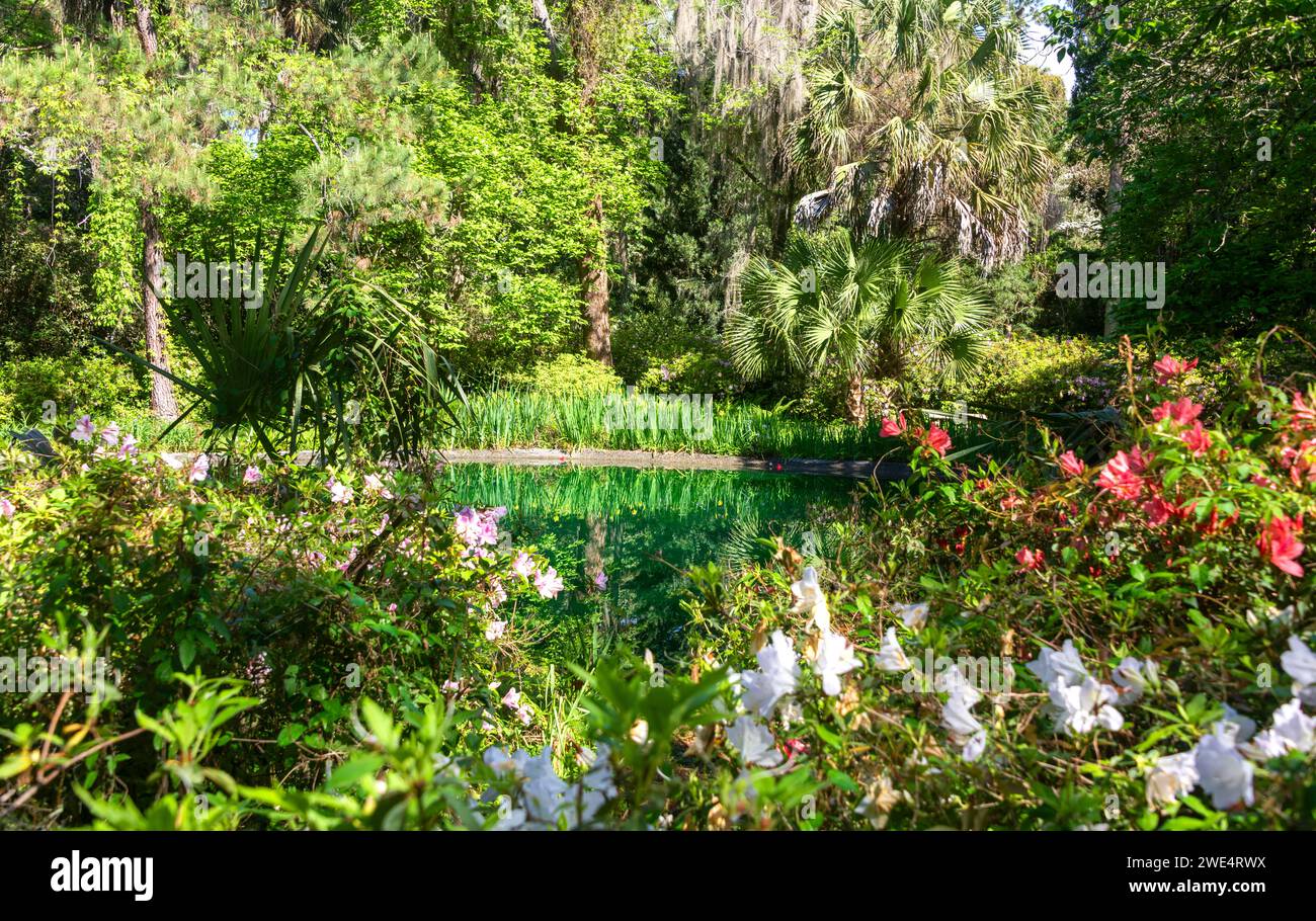 Garden reflection on pond at MaClay Gardens National Park in ...