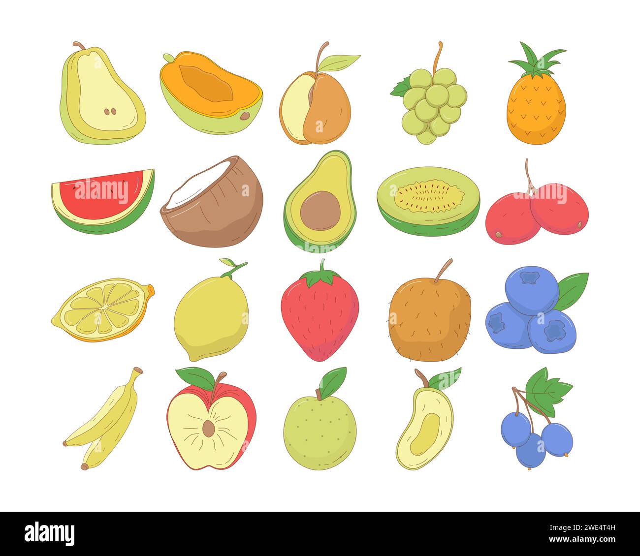 Set of hand drawn fruits vector illustration. Creative hand drawn ...
