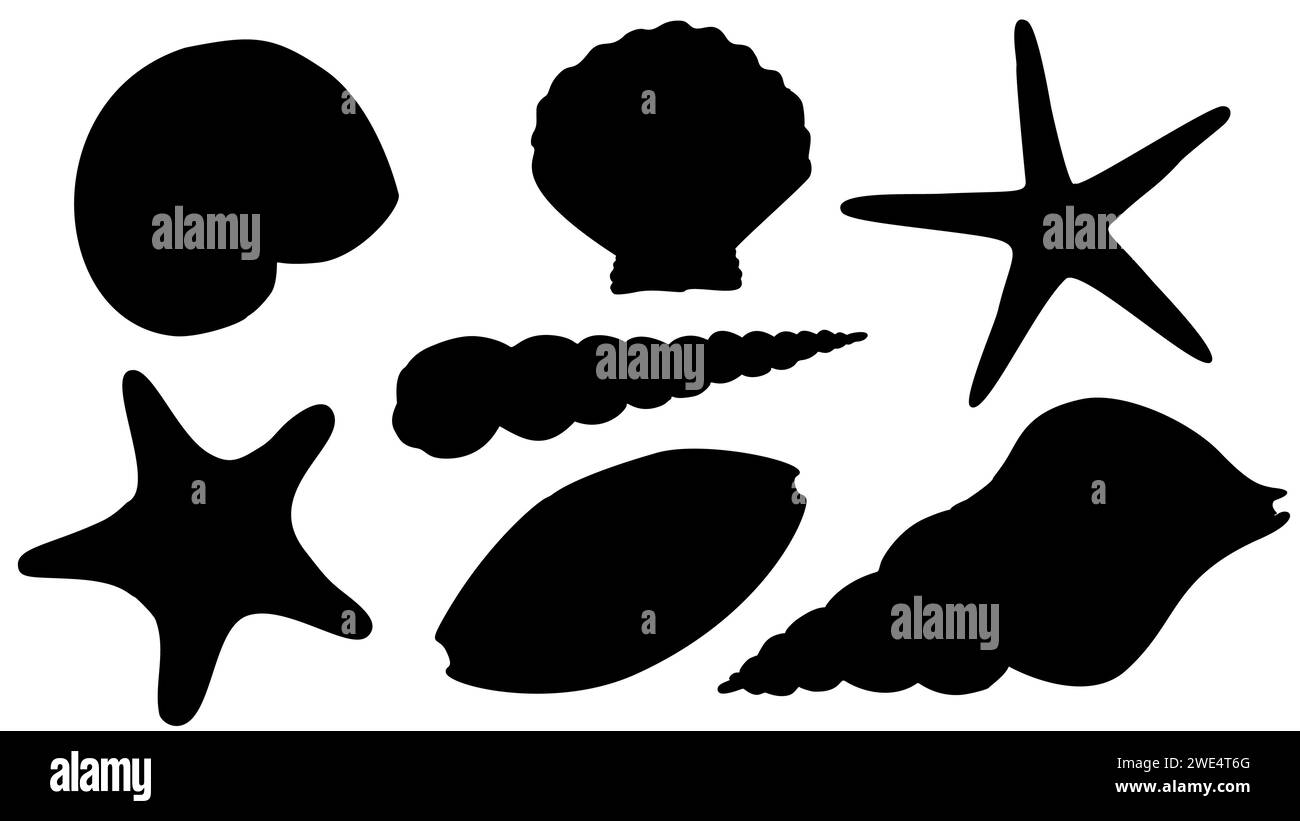Seashell silhouettes vector set. Illustration of sea Shells on isolated ...