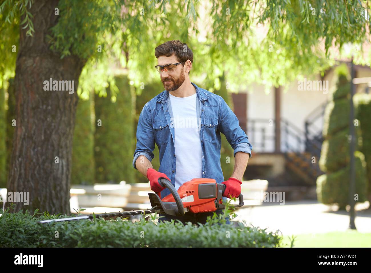 Hard working shrub hi-res stock photography and images - Alamy