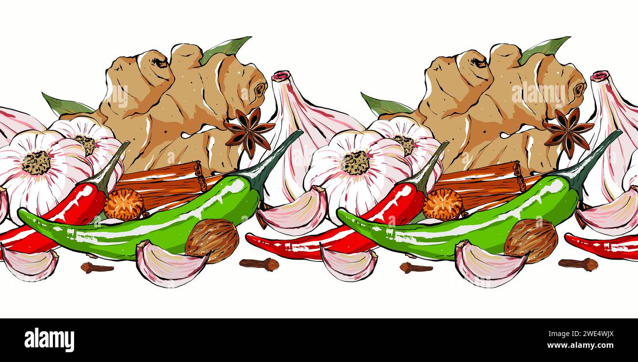 Fragrant spices. Hand drawn illustration of seamless border with garlic ...