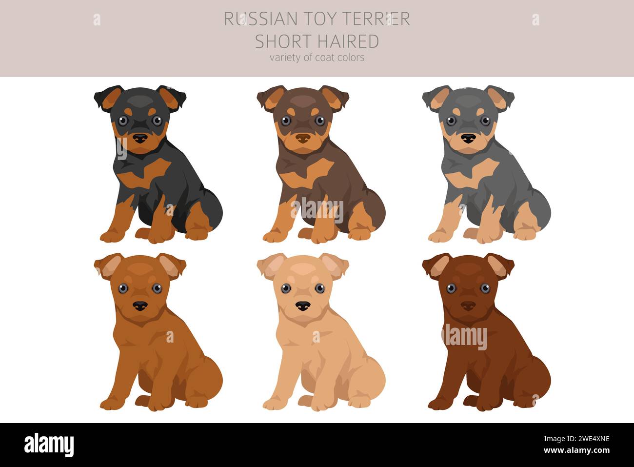 Russian toy terrier shorthaired puppies clipart. Different poses, coat ...