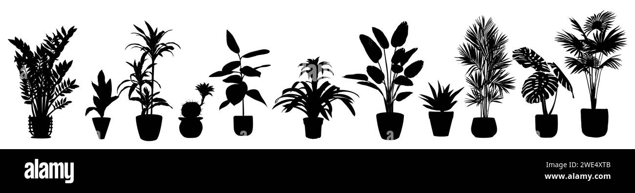 Silhouettes of different House Plants in pot set Stock Vector Image ...