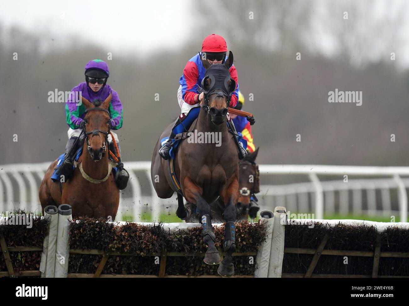 Jockey Elizabeth Gale aboard Ceci Wells during the Watch On Racing TV ...