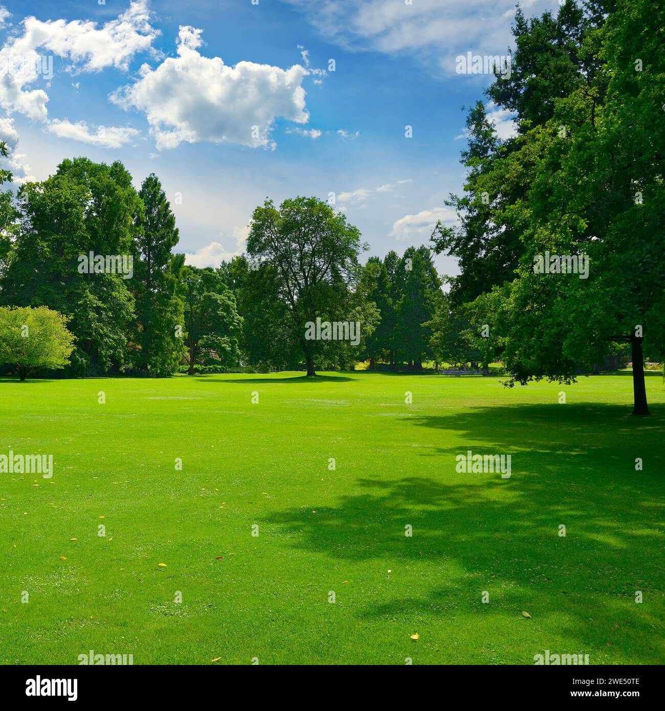 Grass park garden hi-res stock photography and images - Alamy