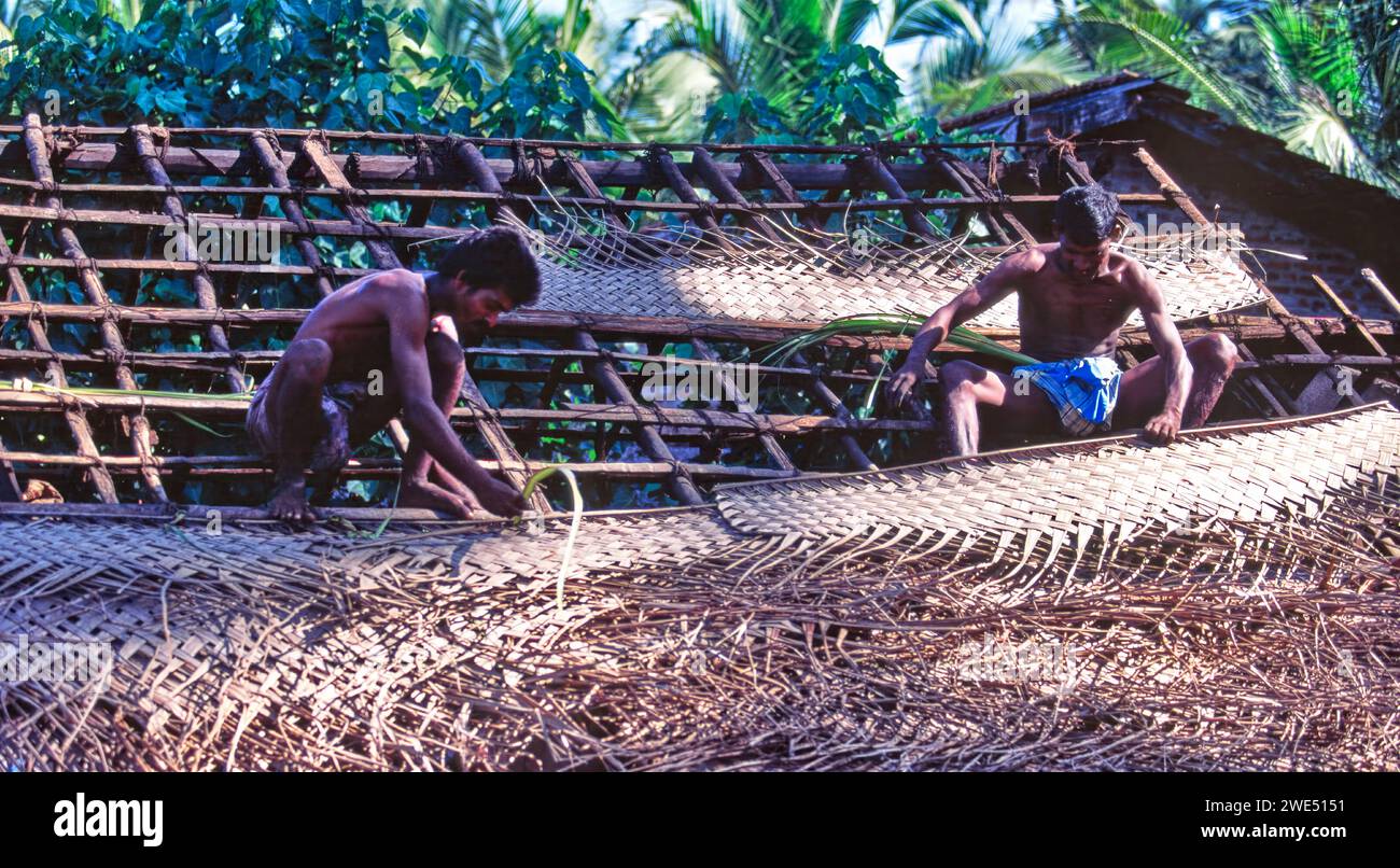 Repairing a roof with woven palm fronds in Sri Lanka Stock Photo - Alamy