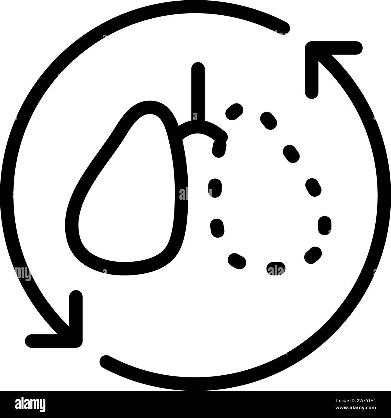 Human lungs linear icon. Simple line illustration. Respiratory system ...