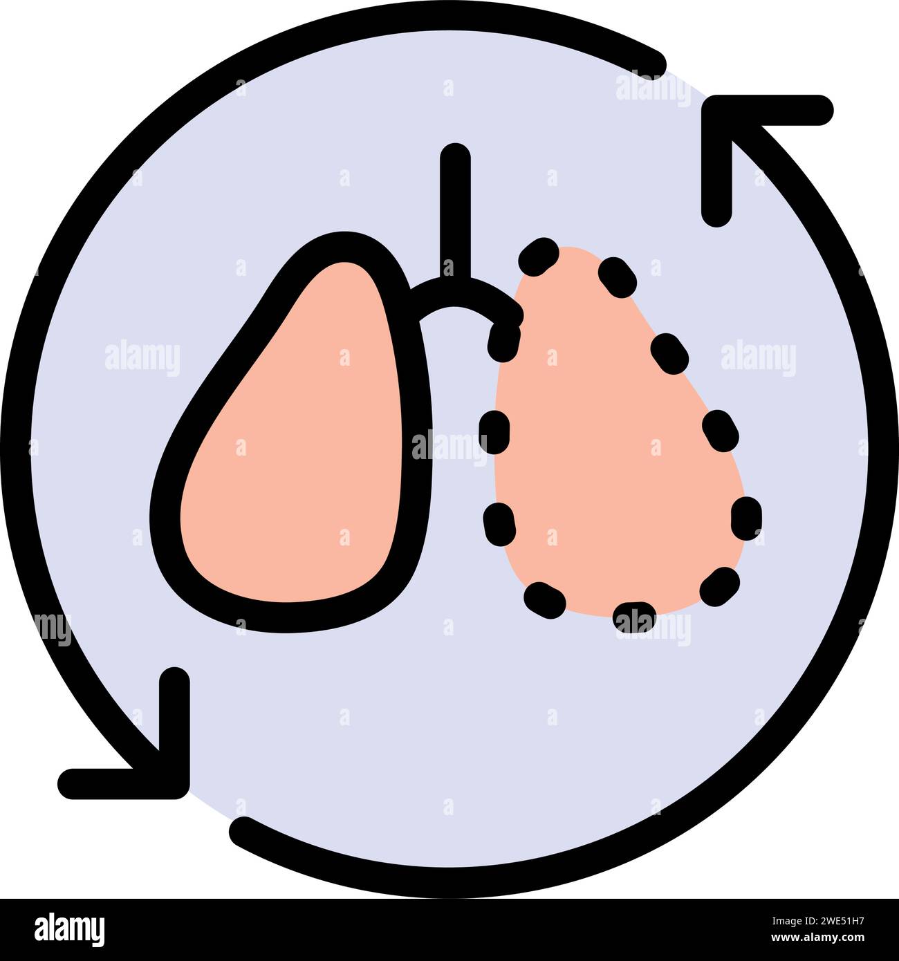 Human lungs color icon. Simple flat illustration. Respiratory system ...