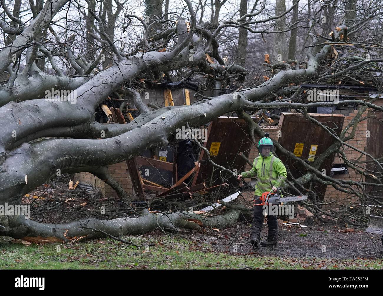 Workers remove a tree that fell on an electricity substation on the ...