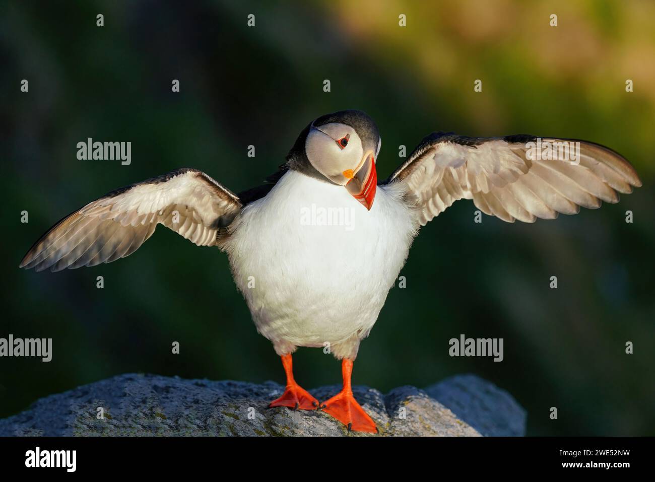 Casement island hi-res stock photography and images - Alamy