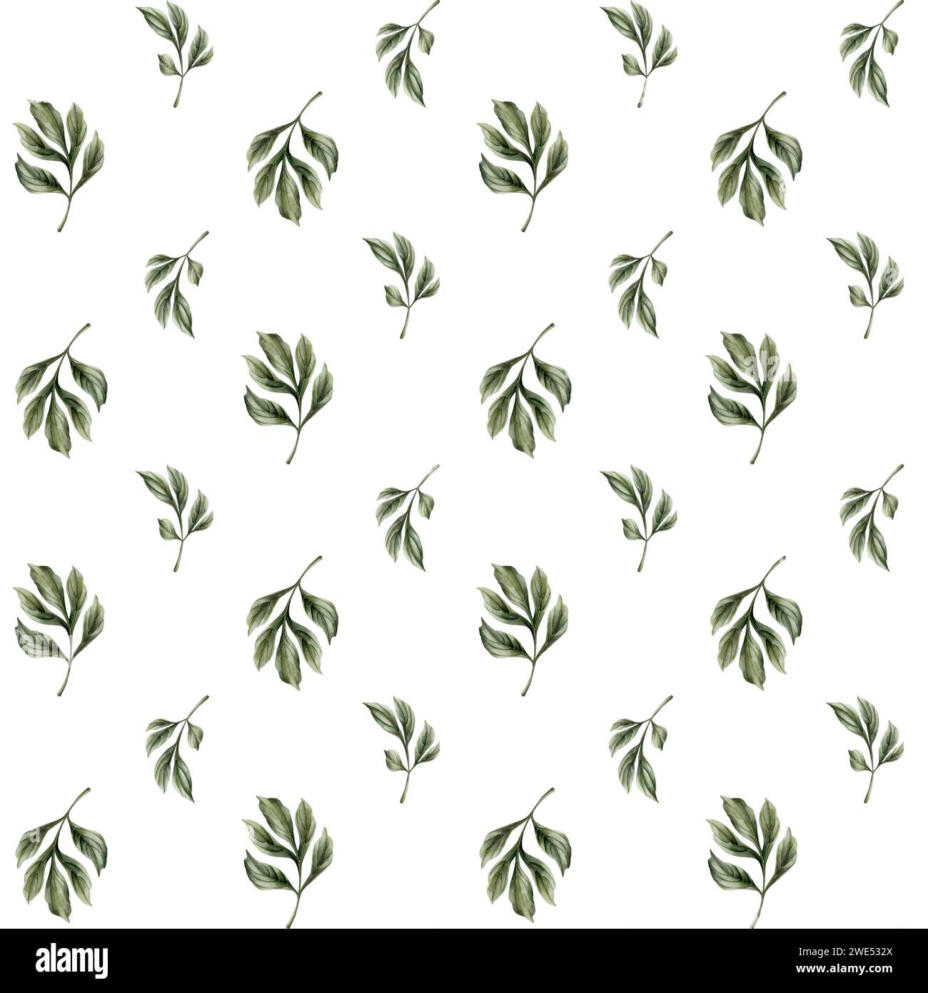 Floral watercolor seamless pattern with green peony leaves on white ...