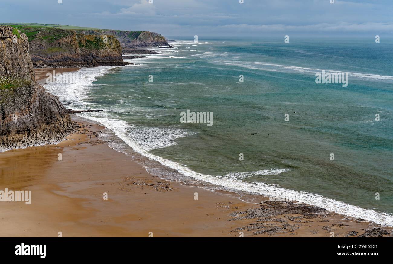 The gower peninsula birds hi-res stock photography and images - Alamy
