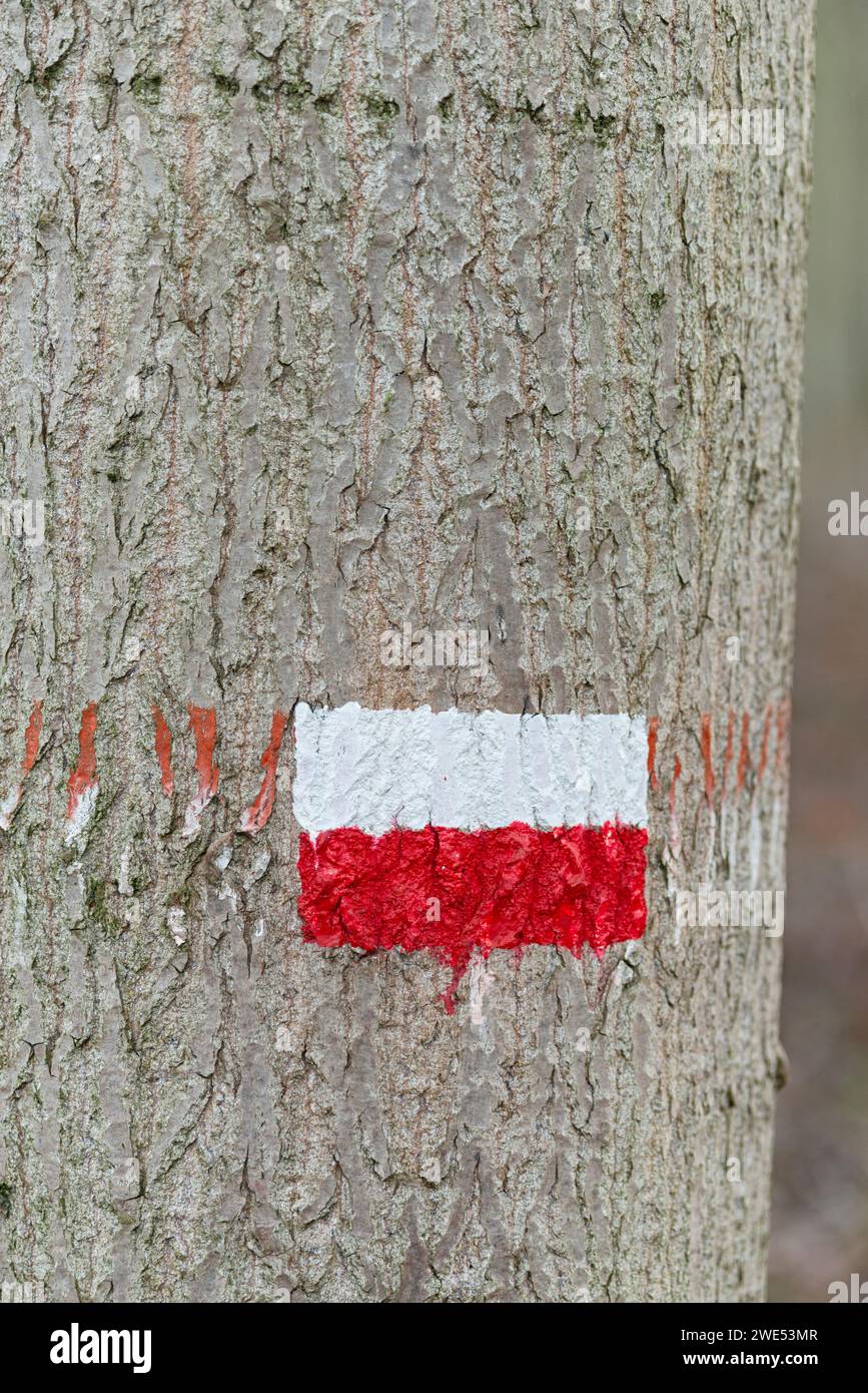 Italy, Lombardy, Crema, Parco del Serio, Tree Trunk with Red and White ...