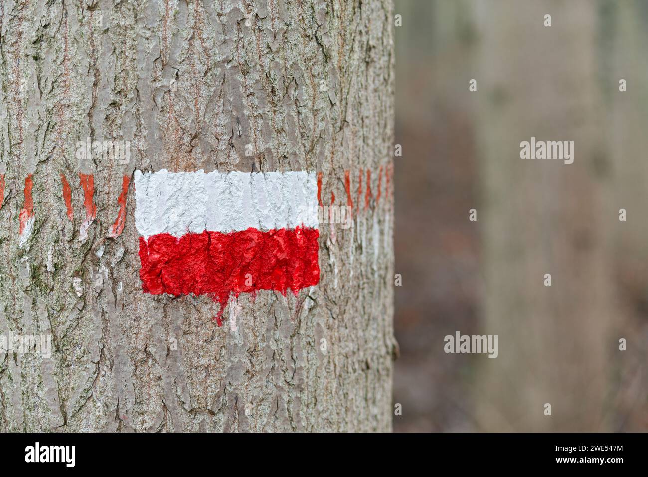 Italy wooden direction sign hi-res stock photography and images - Alamy