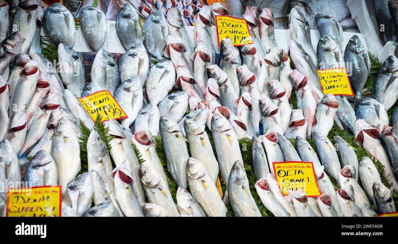 An Image of Fresh Fish display in the local market. Assorted fish in ...