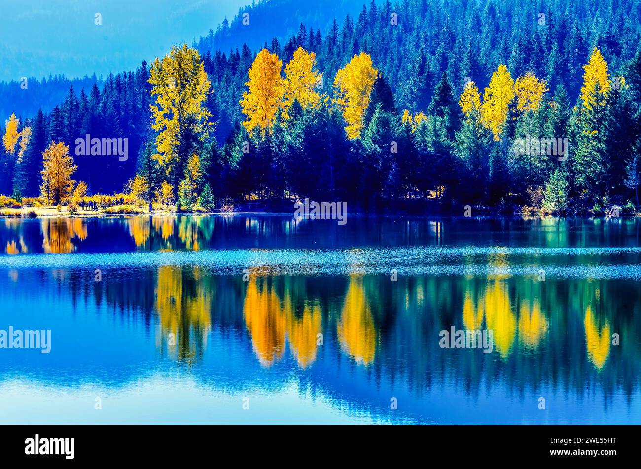 Blue Water Yellow Trees Reflection Gold Lake Autumn Fall Snoqualme Pass ...
