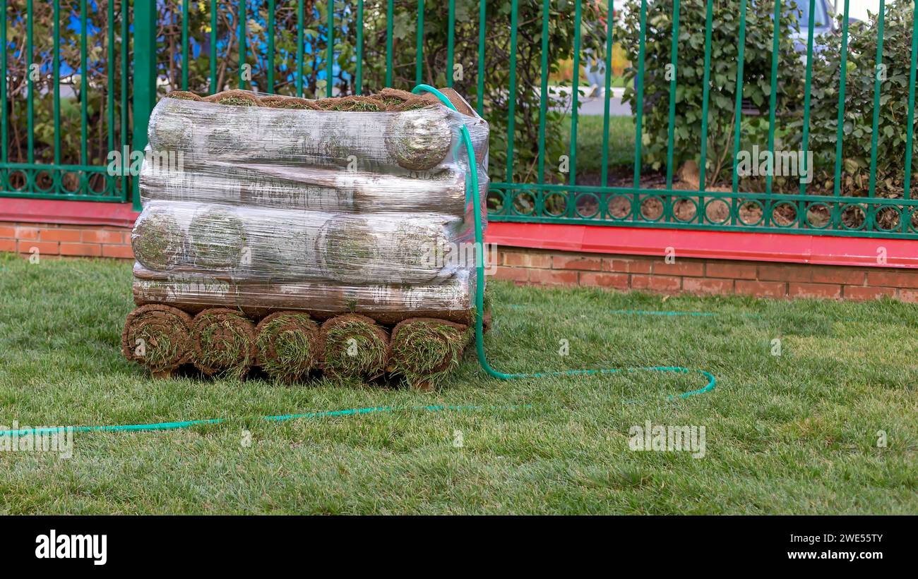 Sod design hi-res stock photography and images - Alamy