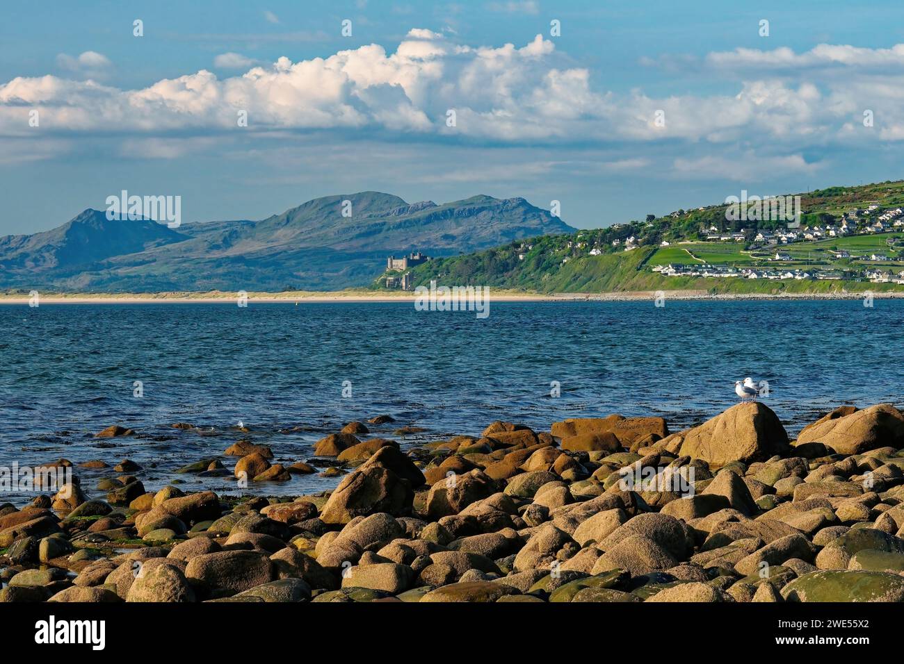 Great Britain, West Wales, Shell Island peninsula, Harlech castle in ...